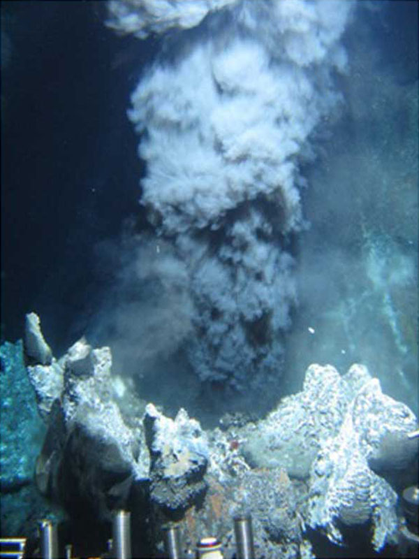Pyrococcus Furiosus Habitat