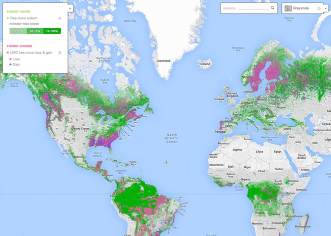 Global Forest Watch Monitors Deforestation Almost in Real Time - The ...